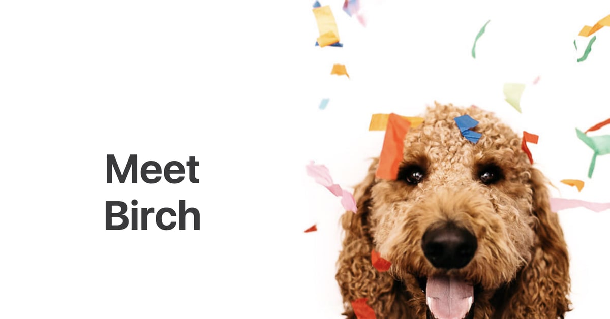 One Page Website Inspiration