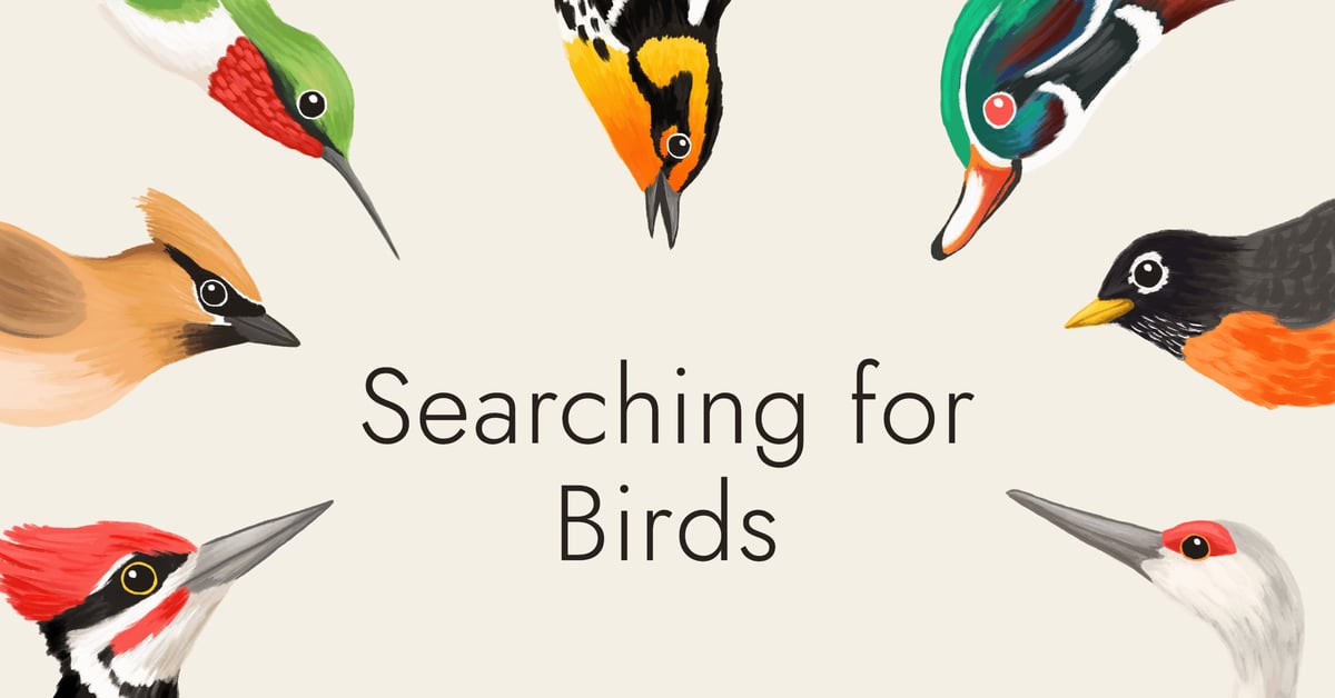 Informational Website Design Inspiration