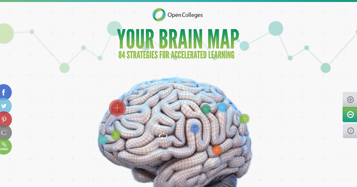 Your Brain Map — One Page Website Award